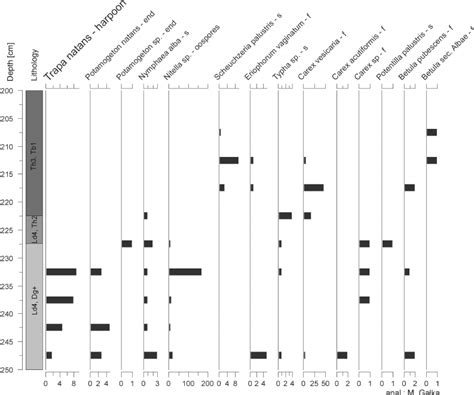 Stążki A Macrofossil Diagram Of The Site 2 The Main Core Of The Stążki A Macrofossil Diagram Of The Site 2 The Main Core Of The