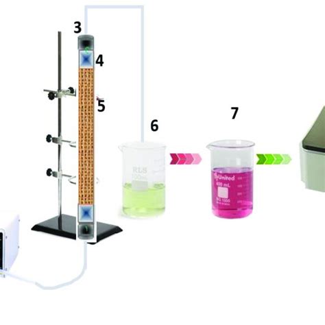 Schema Of The Experimental Setup For The Crvi Fixed Bed Adsorption Download Scientific