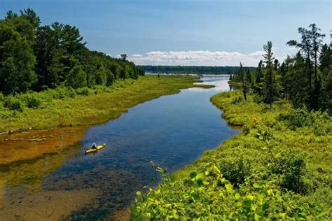 Riparian Buffer Zone Function Benefits Design Environment Buddy