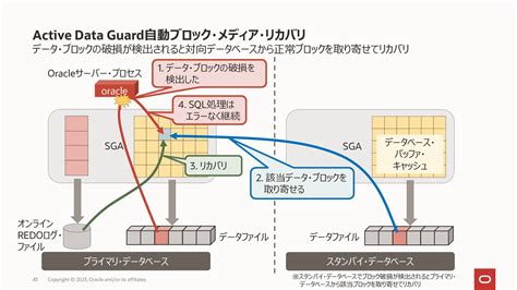 oracle database maximum availability architecture data protection