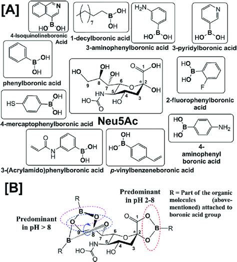 A Types Of Boronic Acid Molecules Used In Different Assays Of Neu5ac