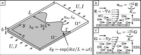 Figure 1 From Electrokinetic Control Of Viscous Fingering Semantic Scholar