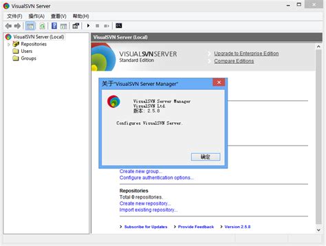 svn服务器搭建 svn服务器端软件 visualsvn server 2 5 8 最新安装版 附注册机 东坡下载