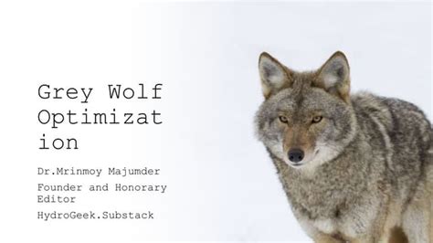 Lecture On Grey Wolf Optimization Techniques Pptx