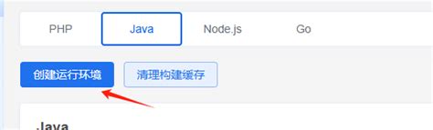 1panel面板配置java运行环境及网站的详细操作教程1panel Java Csdn博客