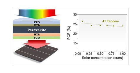 perovskite solar cell