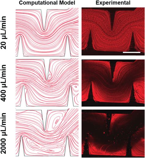 Simulated And Experimental Streaming Patterns Through The Sharp Edge