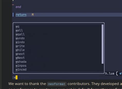 How To Achieve This Command Line Style Suggestions Rneovim
