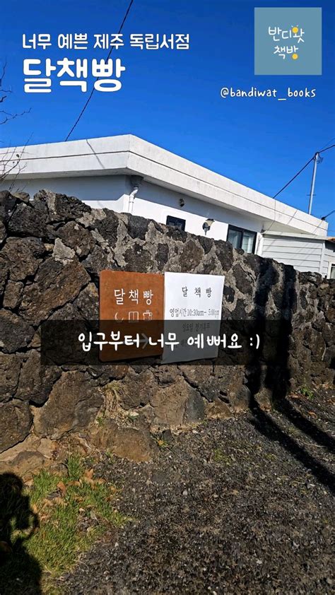 3주전 갔던 달책빵 영상 공유해 제주의 너무 예쁜 동네책방 구경하구 모두 기분 좋아졌음 좋겠다 😊💕 이 시국에 스레드 시작한 지 25일만에 400명 넘어서 너무