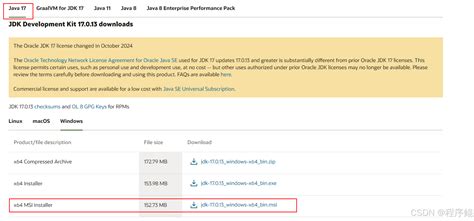 Java 开发环境配置（jdk17）java Jdk17 Csdn博客
