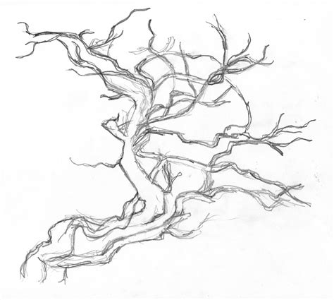 Branch Sketch At PaintingValley Com Explore Collection Of Branch Sketch