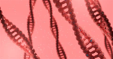 Decoding The Mystery Understanding Diagnosing And Using Genetic Testing For Abnormal Anterior