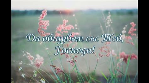 Да общувам с Теб Албум Да общувам с Теб Гина Чипилска Youtube