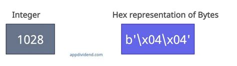 How To Convert Int To Bytes And Bytes To Int In Python