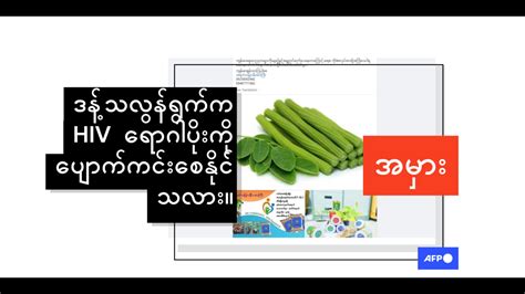 ဒန့်သလွန်ရွက်က Hiv ရောဂါပိုးကို ပျောက်ကင်းစေနိုင်တယ်ဆိုတာ မဟုတ်မှန်က