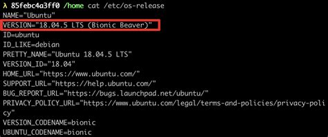 Ubuntu 源码 Docker 编译错误 Issue PaddlePaddle Paddle GitHub