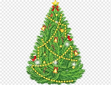 크리스마스 트리 수채화 페인트 젖은 잉크 Shortleaf 검은 스프 루 스 콜로라도 스프 루 스 노란 전나무 오 레 곤 소나무 캐나다 전나무 봉 선화