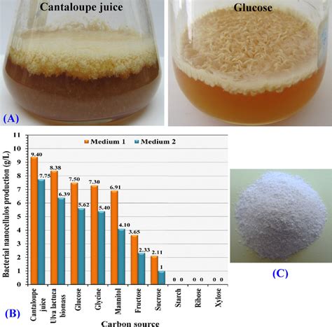 A Bacterial Cellulose Layer Produced At The Airliquid Interphase