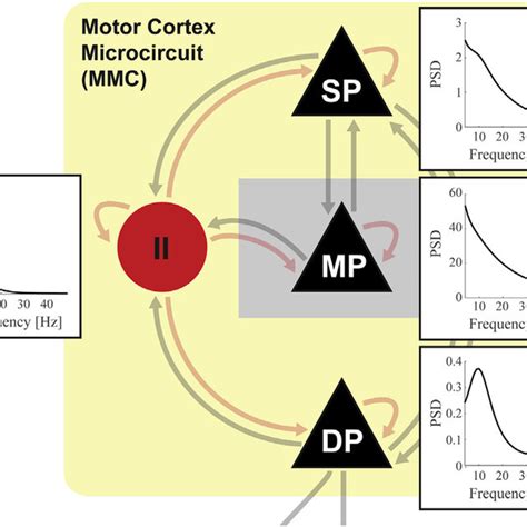 Maximum A Posteriori Map Estimates Of [auto] Spectral Responses In Download Scientific