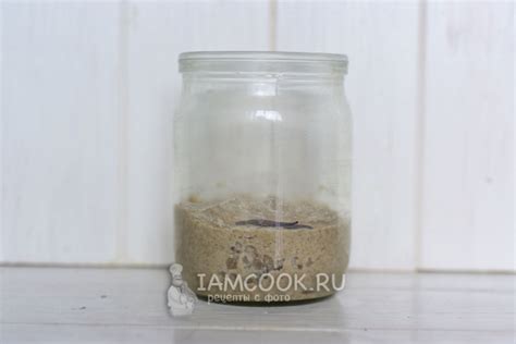 «Вечная закваска для хлеба без дрожжей — рецепт с фото пошагово