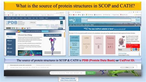 Protein Structure Classification Domain Prediction Scop And Cath Bioinformatics Pdf