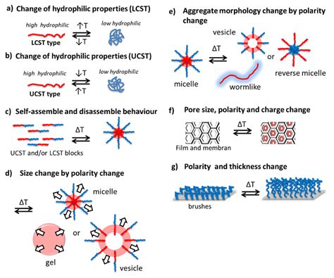 Behaviors Of Thermo Responsive Polymers Download Scientific Diagram