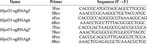 The Primer Sequence Of Myod1 Sgrna Download Scientific Diagram