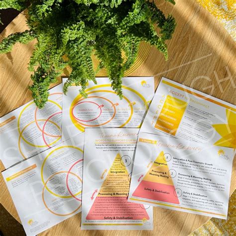 Trauma Informed Practice Pack Digital Resources And Training Shine