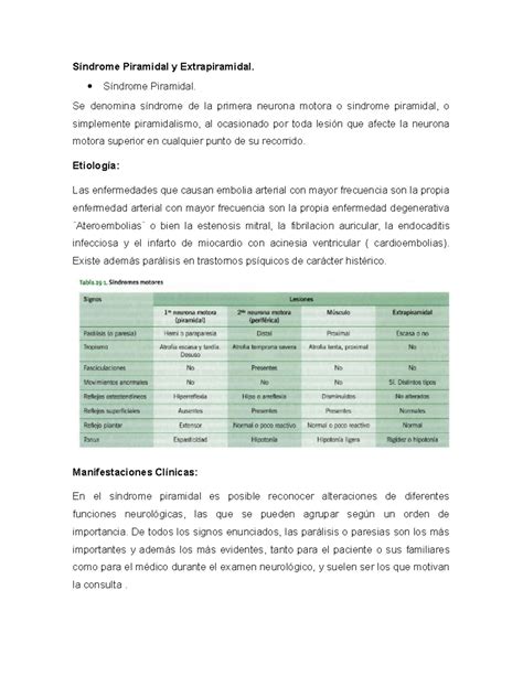 Exploracion De Mamas Examen De Mamas La Mama Se Divide En Cuadrantes