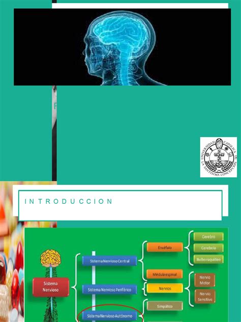 Clase 5 Snc Descargar Gratis Pdf Benzodiazepinas Antidepresivo