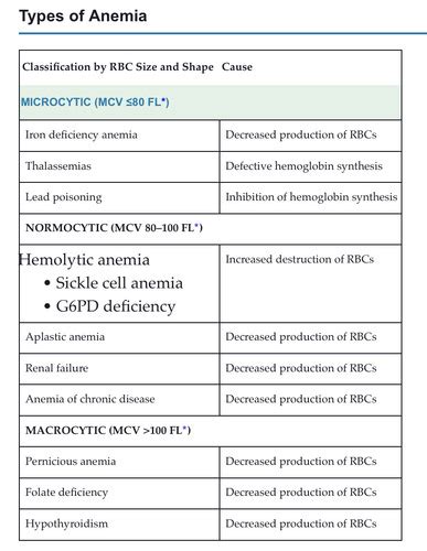 Ch 22 Disorders Of Rbcs Flashcards Quizlet
