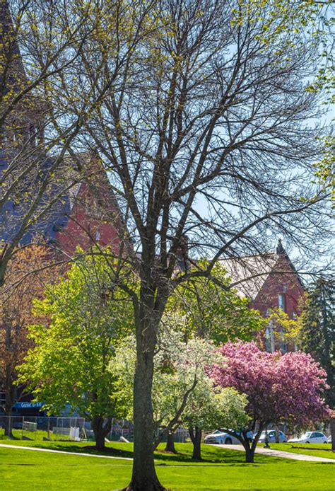 Uvm Foundation And Alumni Association Class Notes