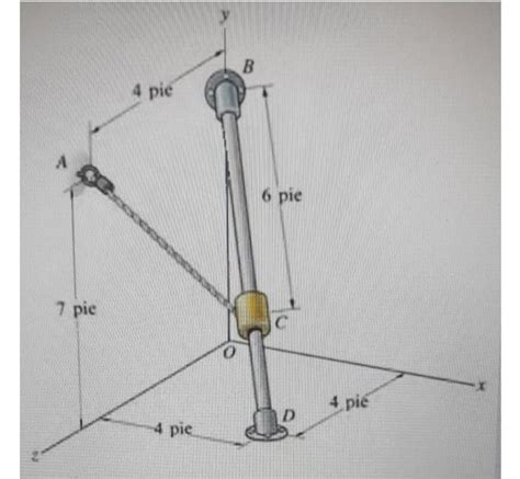 Solved The 100 Lb Collar C Is In Equilibrium On The Smooth Chegg Com