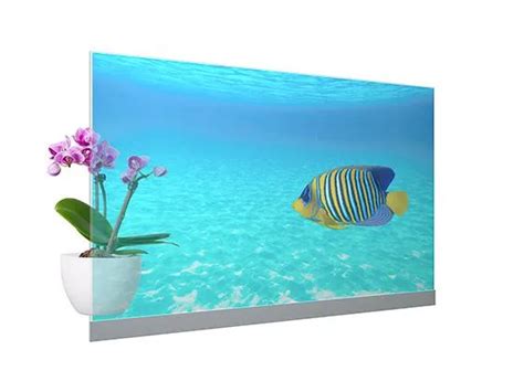 Panasonic Commercializes Transparent OLED Display Module With Superb Image Visibility Display