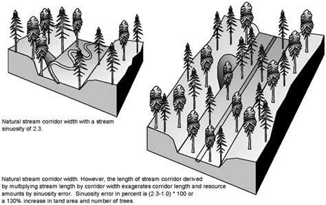 Stream Corridor Or Riparian Width Should Be Based On Valley Length
