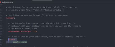 Flutter Svgpicture Asset Does Not Work And Shows Try Connecting The