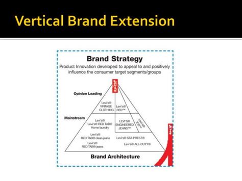 Introducing And Naming Products And Brand Extensions Chapter 12 By Leroy J