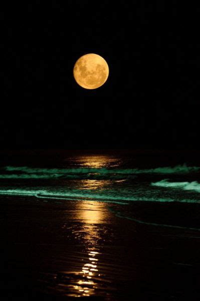 Full Moon Tumbex