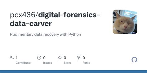 GitHub Pcx Digital Forensics Data Carver Rudimentary Data Recovery With Python