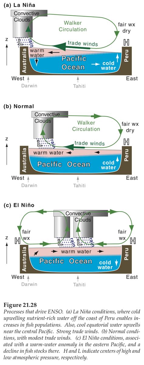The Walker Cell And Enso