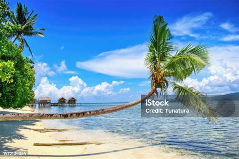 아름다운 여름 풍경 야자수와 물 방갈로가 있는 해변 라자암팟 크리 섬 웨스트 파푸아 인도네시아 해변가 오두막에 대한 스톡 사진 및 기타 이미지 Istock