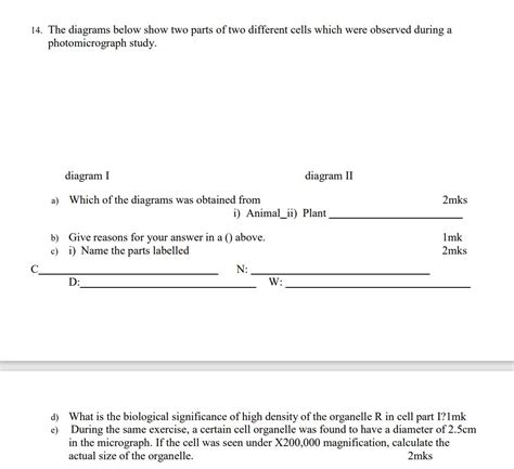 Solved 14 The Diagrams Below Show Two Parts Of Two Different Cells