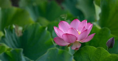 M Zuiko Digital Ed 75 300mm F4 8 6 7 Ii｜kta