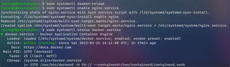 how to use vm server to host or deploy a flask app with docker nginx