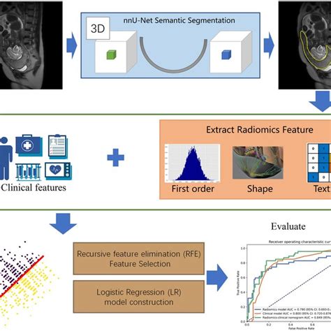 a trained nnu net model was utilized to automatically segment placenta