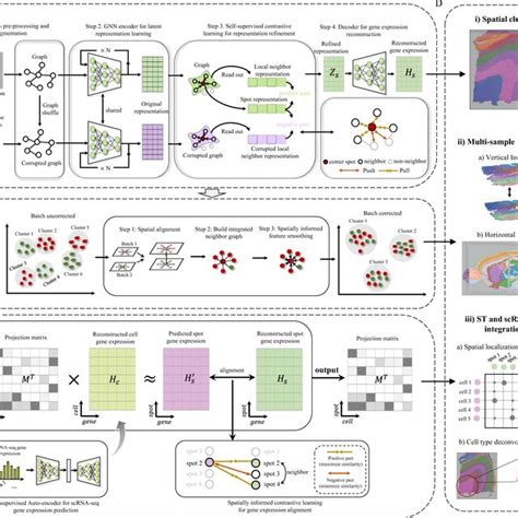 using soar to explore spatially variable genes and cell cell