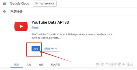 详细教程YouTube官方API接口开通教学实现油管自动化评论和采集 youtube data api v 知乎