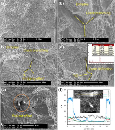 Sem Micrographs Of The Tensile Fracture Surfaces Of The 0 05 Download Scientific Diagram