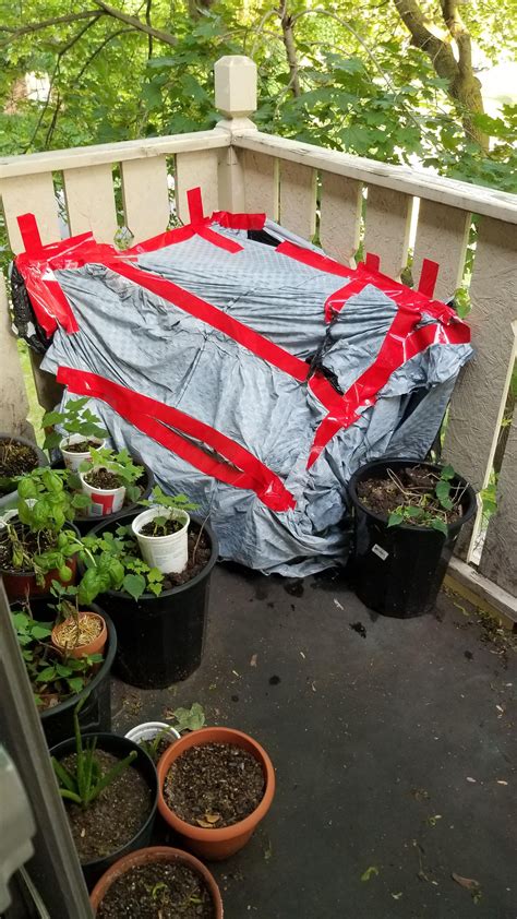 Literal Trashbag Martha Tent R Mycology
